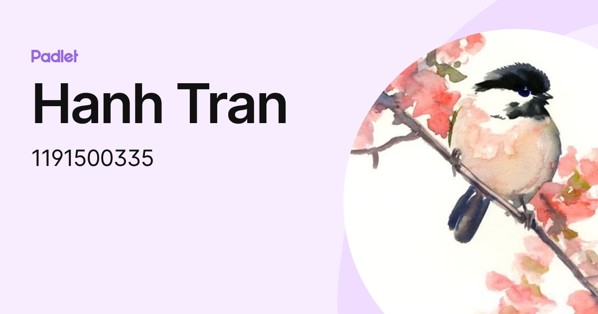 Hanh Tran (1191500335) profile | Padlet
