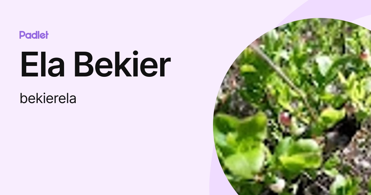 Ela Bekier (bekierela) profile | Padlet