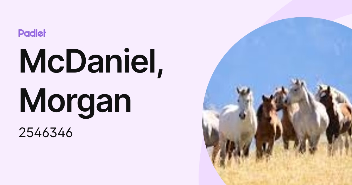 McDaniel, Morgan (2546346) profile | Padlet