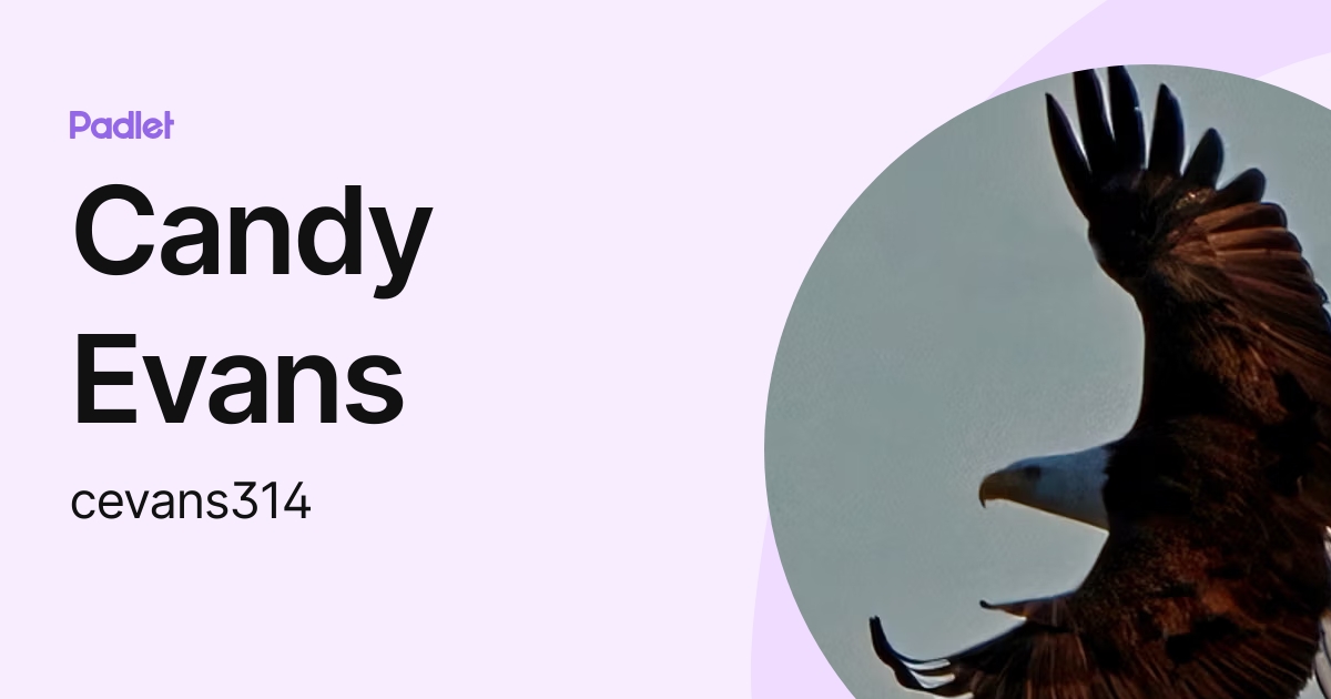 Candy Evans (cevans314) profile | Padlet