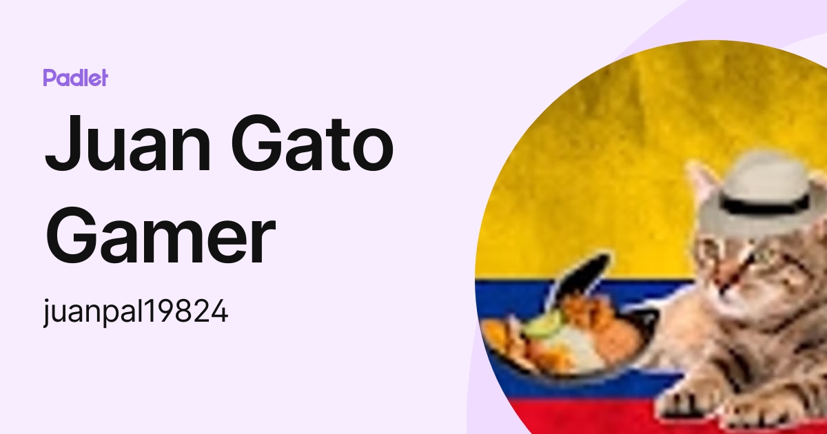 Juan Gato Gamer (juanpal19824) profile | Padlet