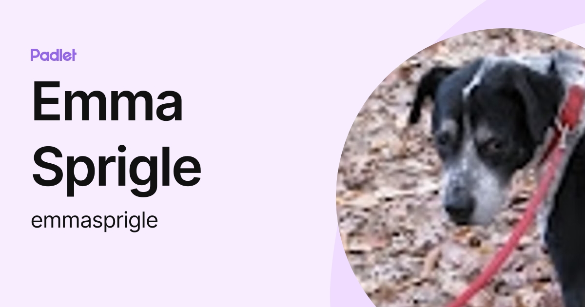 Emma Sprigle (emmasprigle) profile | Padlet