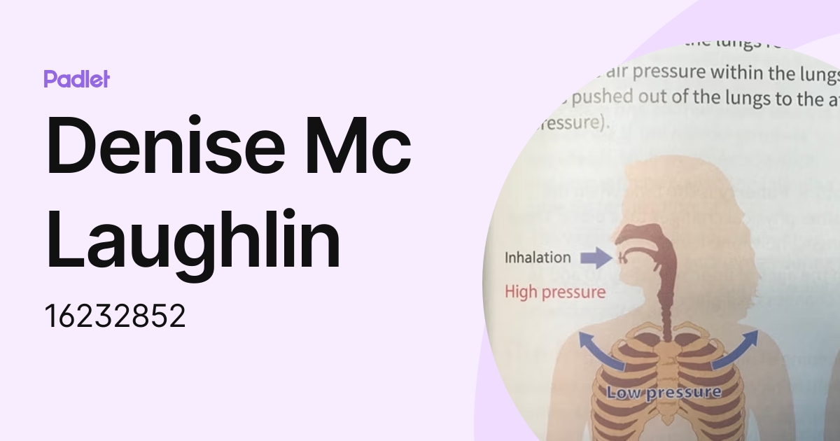 Denise Mc Laughlin (16232852) profile | Padlet
