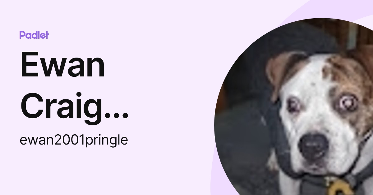 Ewan Craig Pringle (ewan2001pringle) profile | Padlet