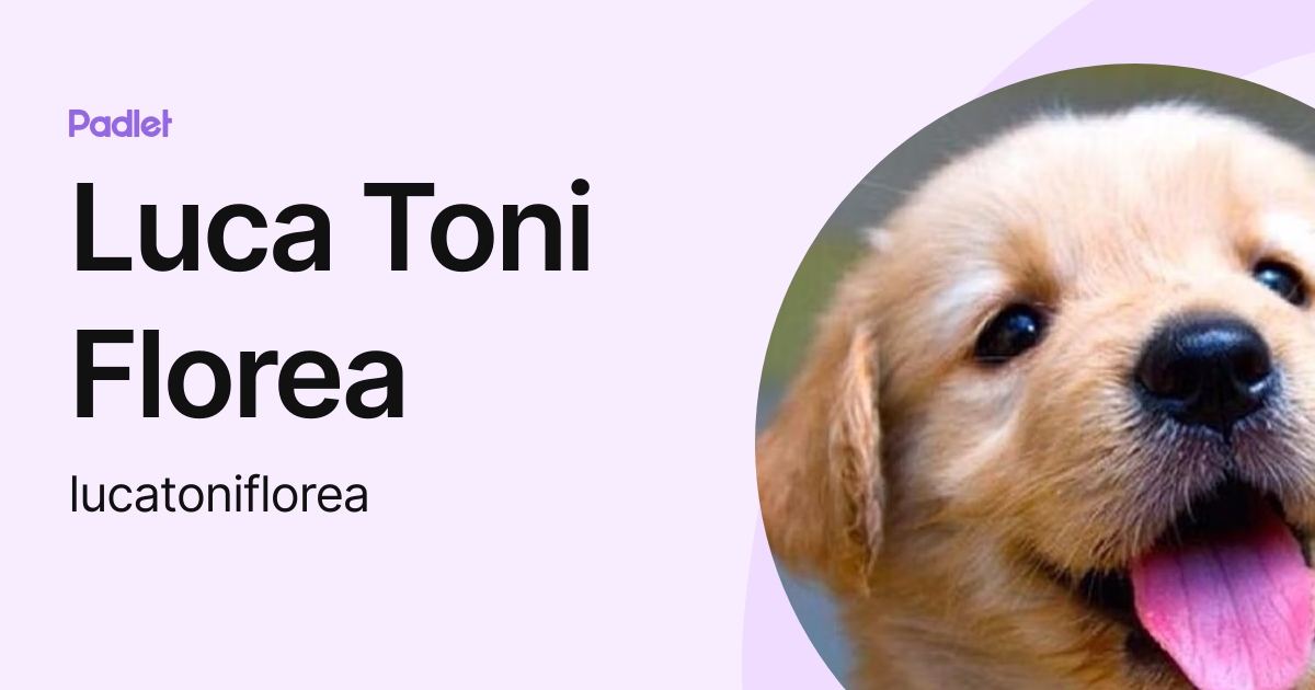 Luca Toni Florea (lucatoniflorea) profile | Padlet