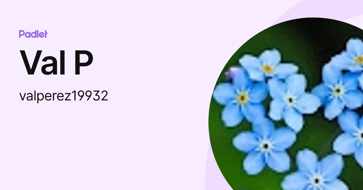 Val P (valperez19932) profile | Padlet