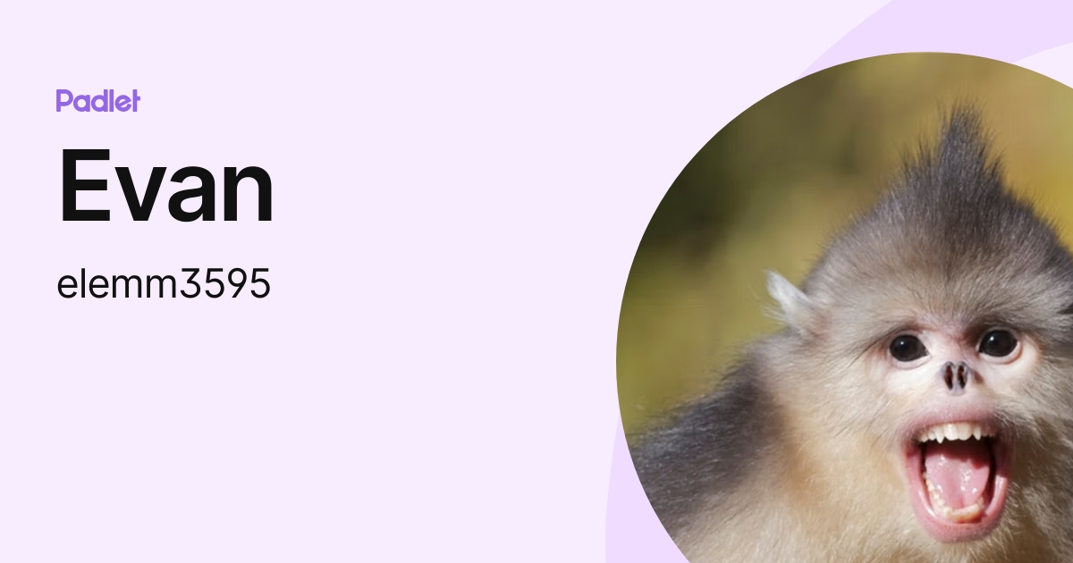 Evan (elemm3595) profile | Padlet