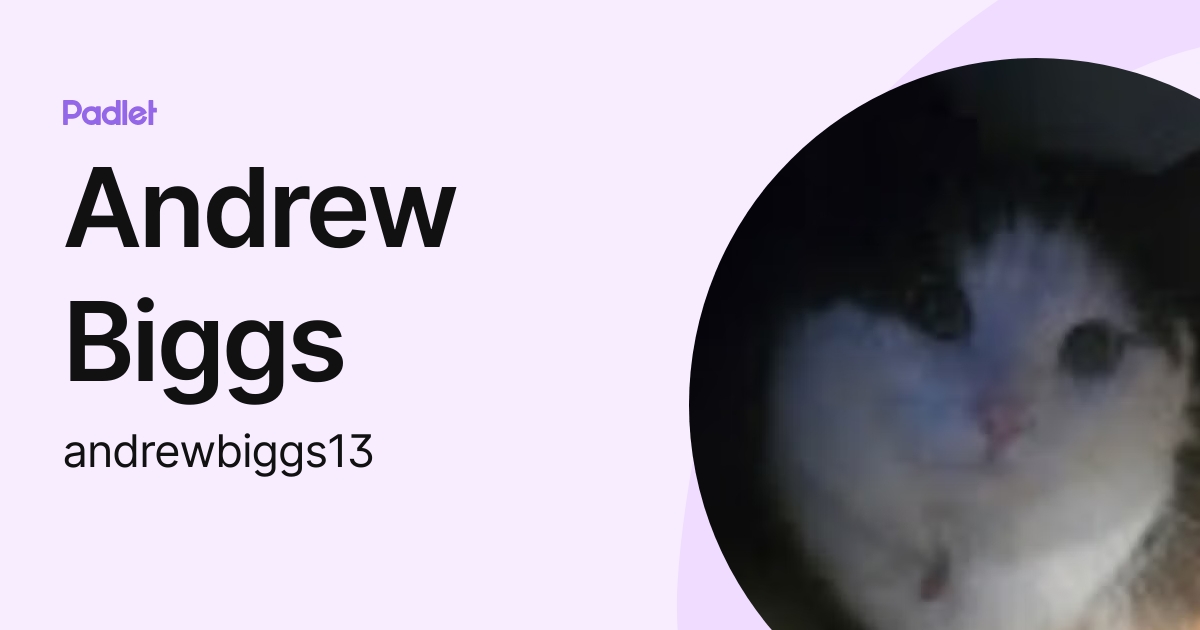 Andrew Biggs (andrewbiggs13) profile | Padlet