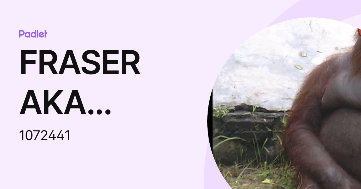 FRASER AKA FRANGA (1072441) profile | Padlet
