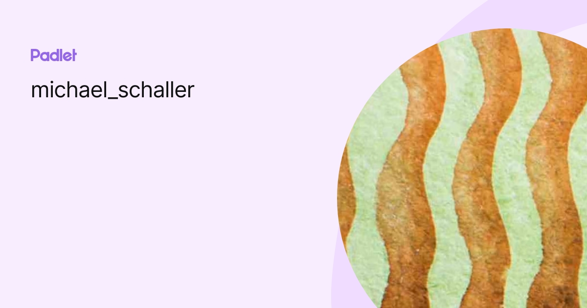 Michael Schaller Profile Padlet