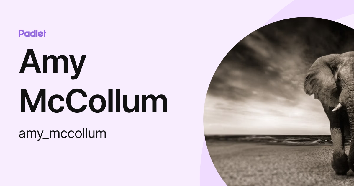 Amy McCollum (amy_mccollum) profile | Padlet