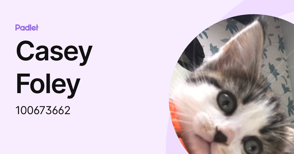 Casey Foley (100673662) profile | Padlet