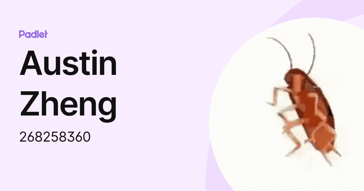 Austin Zheng (268258360) profile | Padlet