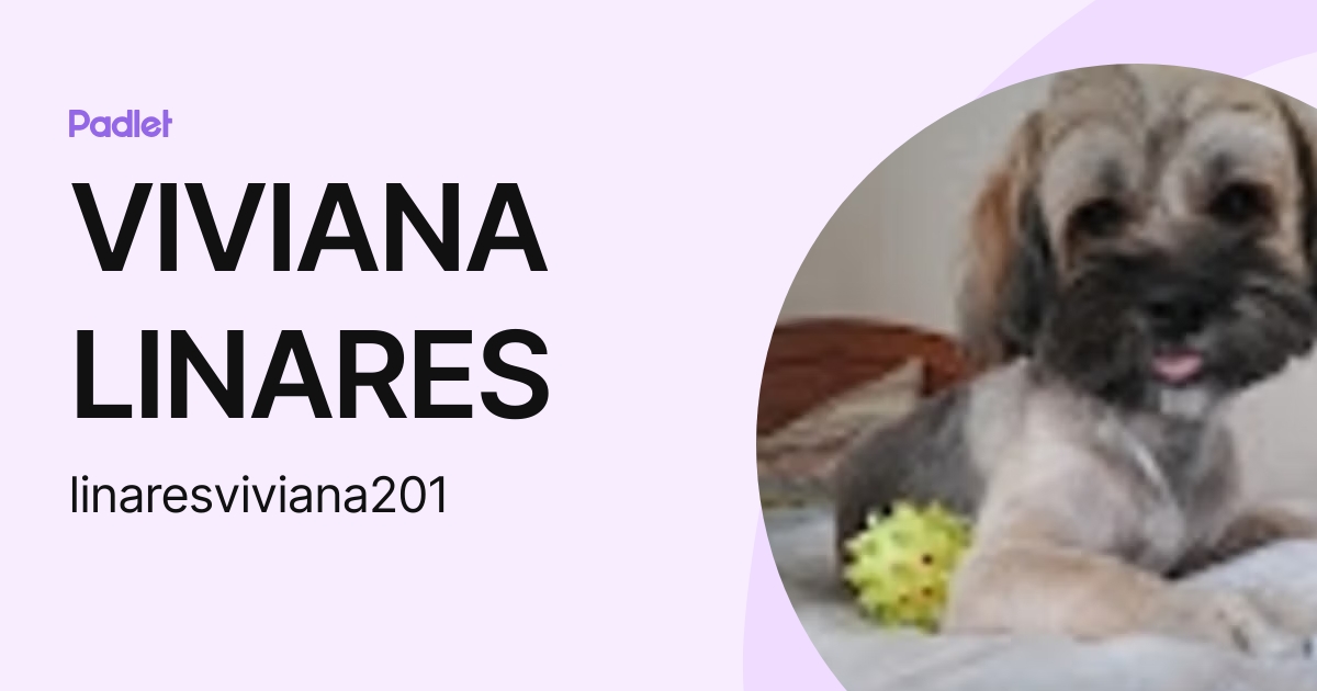 VIVIANA LINARES (linaresviviana201) profile | Padlet