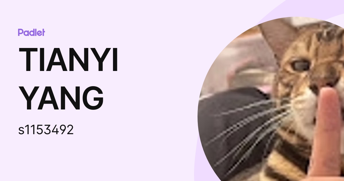 TIANYI YANG (s1153492) profile | Padlet