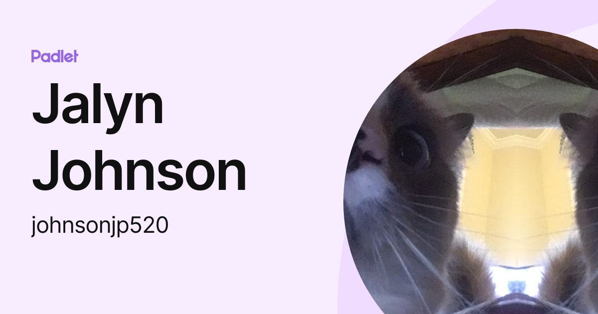 Jalyn Johnson (johnsonjp520) profile | Padlet