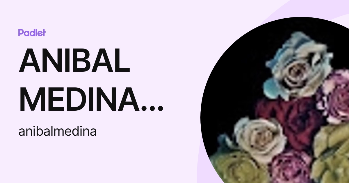 ANIBAL MEDINA PEREZ (anibalmedina) profile | Padlet