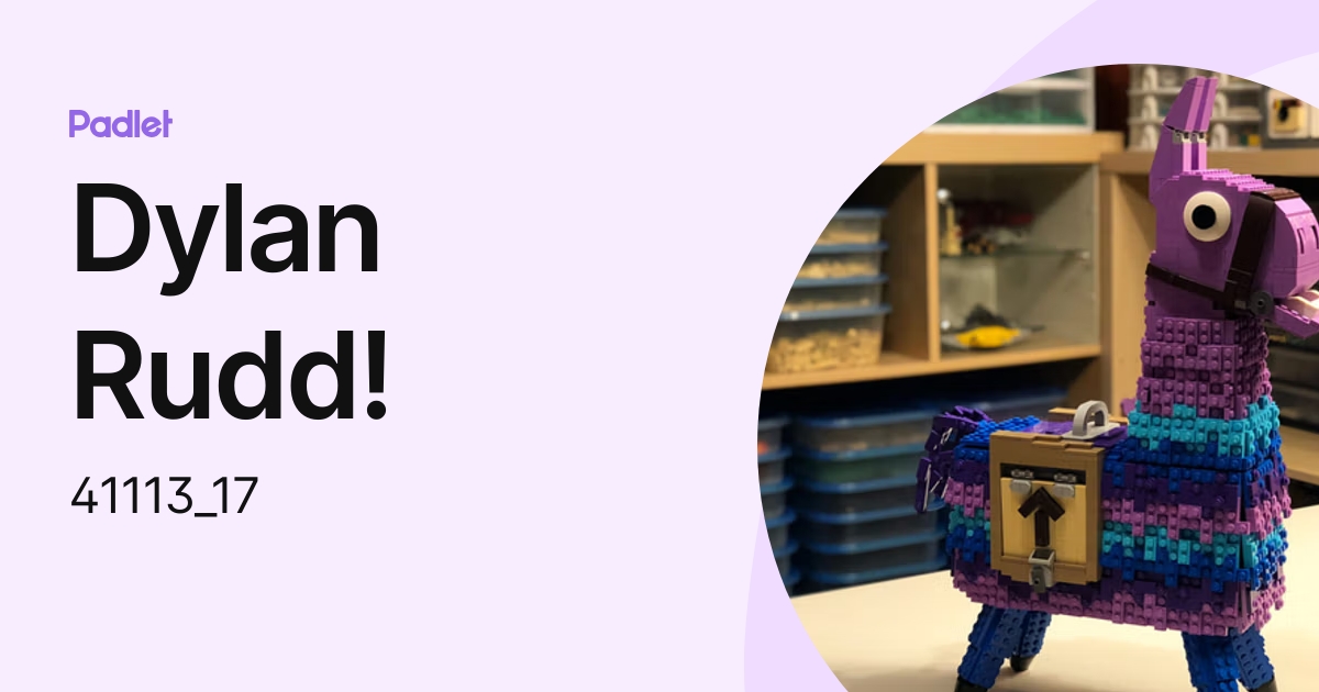 Dylan Rudd! (411131) profile | Padlet