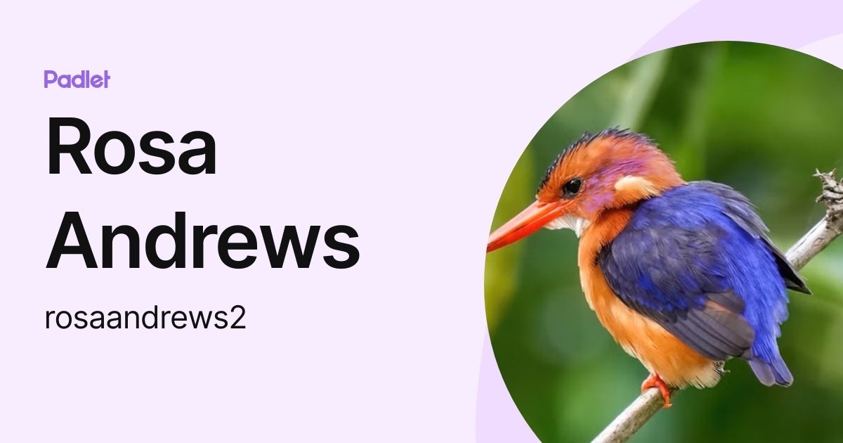 Rosa Andrews (rosaandrews2) profile | Padlet