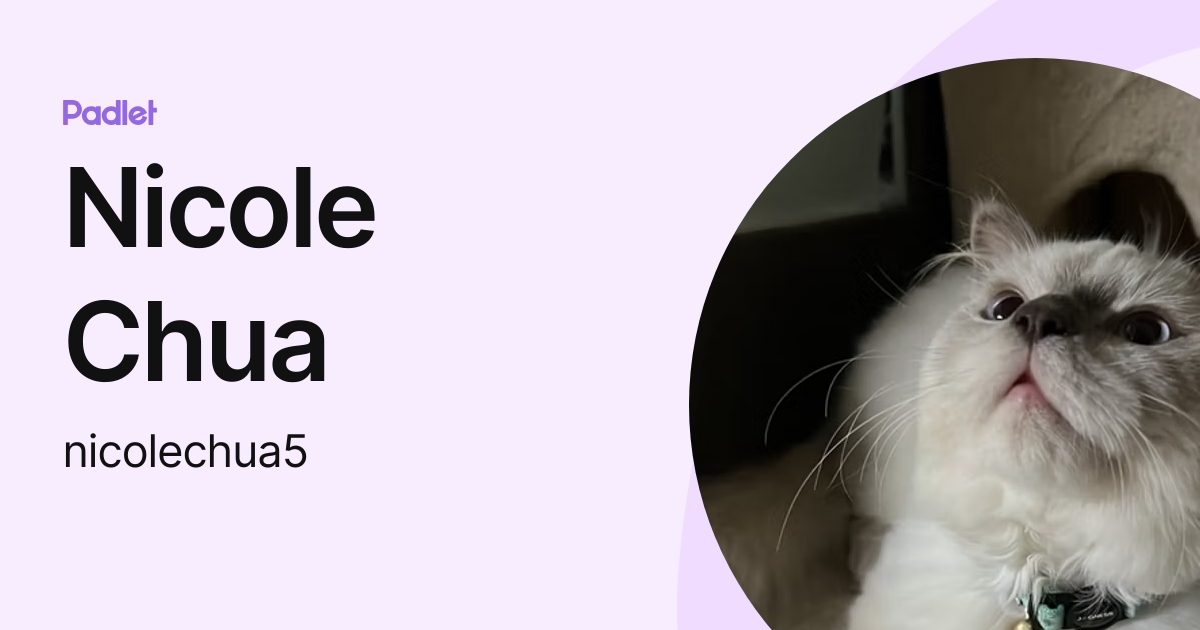 Nicole Chua (nicolechua5) profile | Padlet