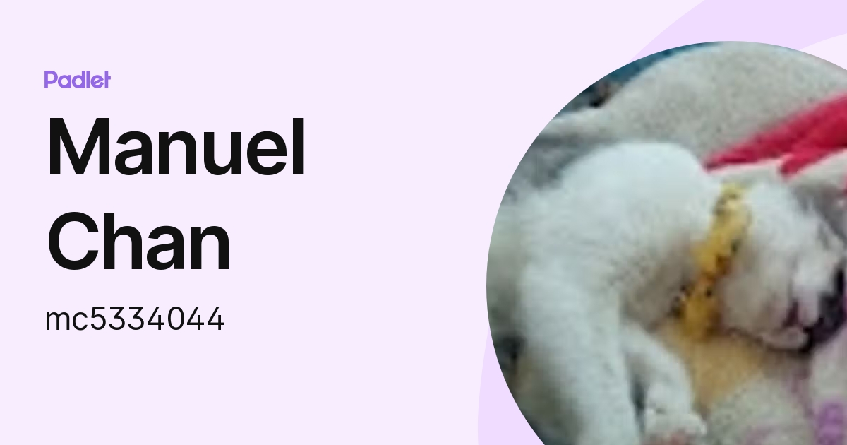 Manuel Chan (mc5334044) profile | Padlet