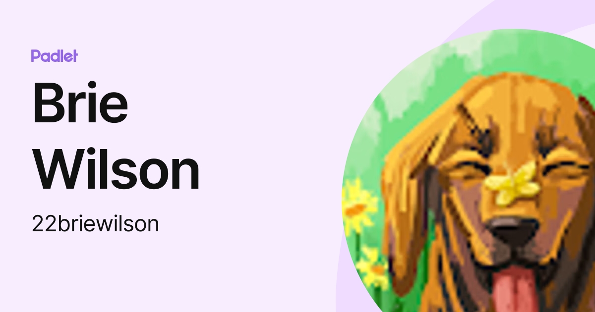 Brie Wilson (22briewilson) profile | Padlet
