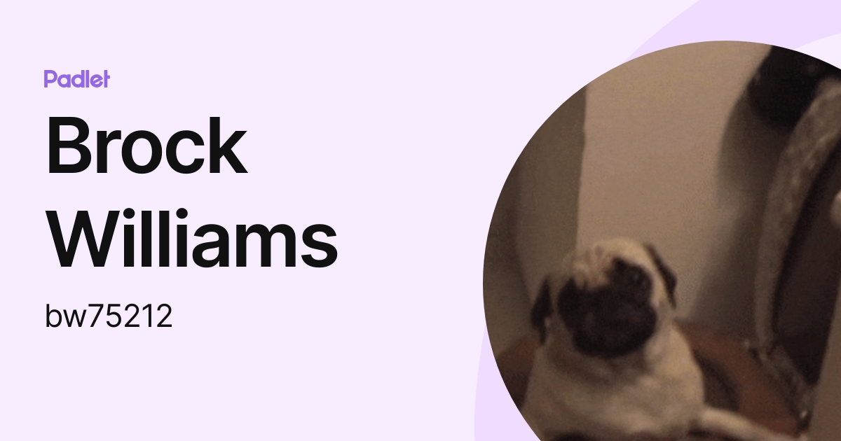 Brock Williams (bw75212) profile | Padlet