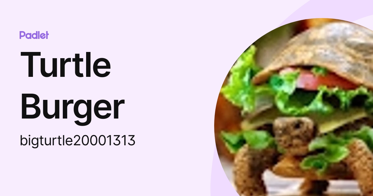 Turtle Burger (bigturtle20001313) profile | Padlet
