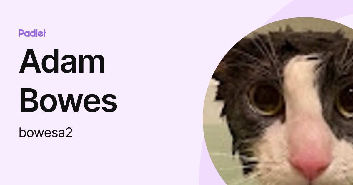 Adam Bowes (bowesa2) profile | Padlet