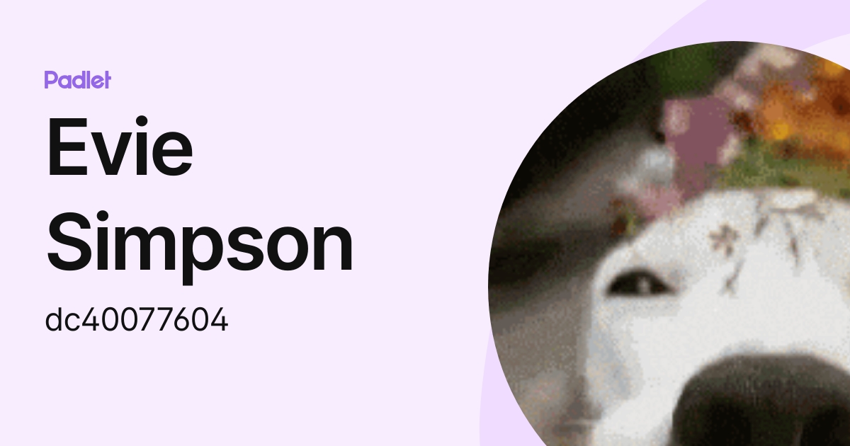 Evie Simpson (dc40077604) profile | Padlet