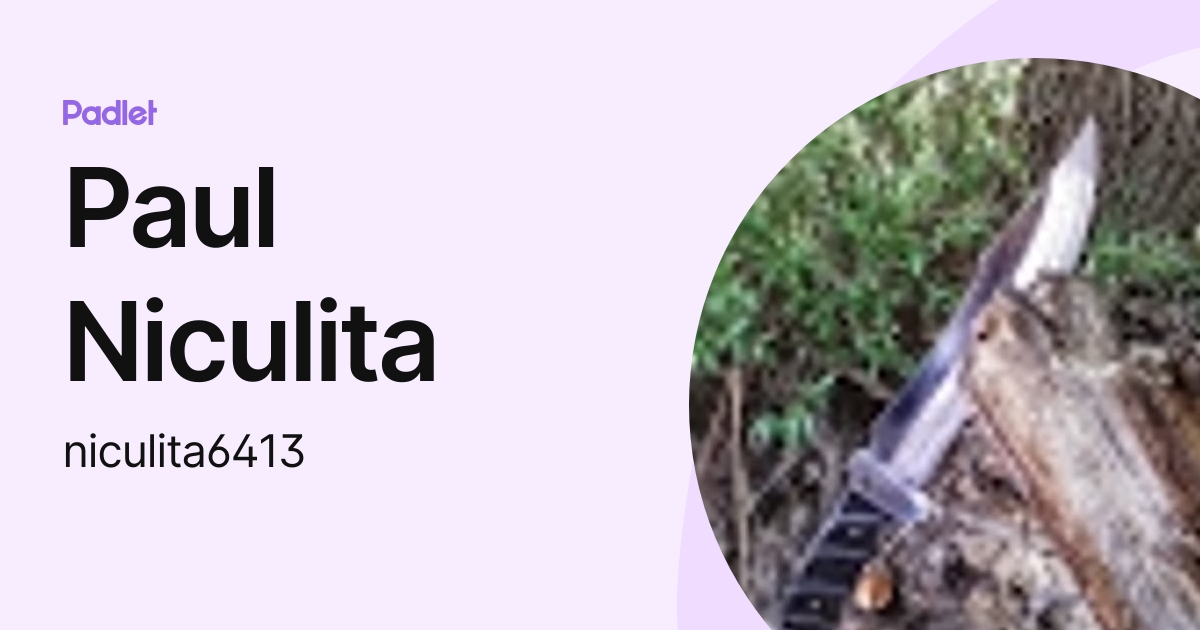 Paul Niculita (niculita6413) profile | Padlet