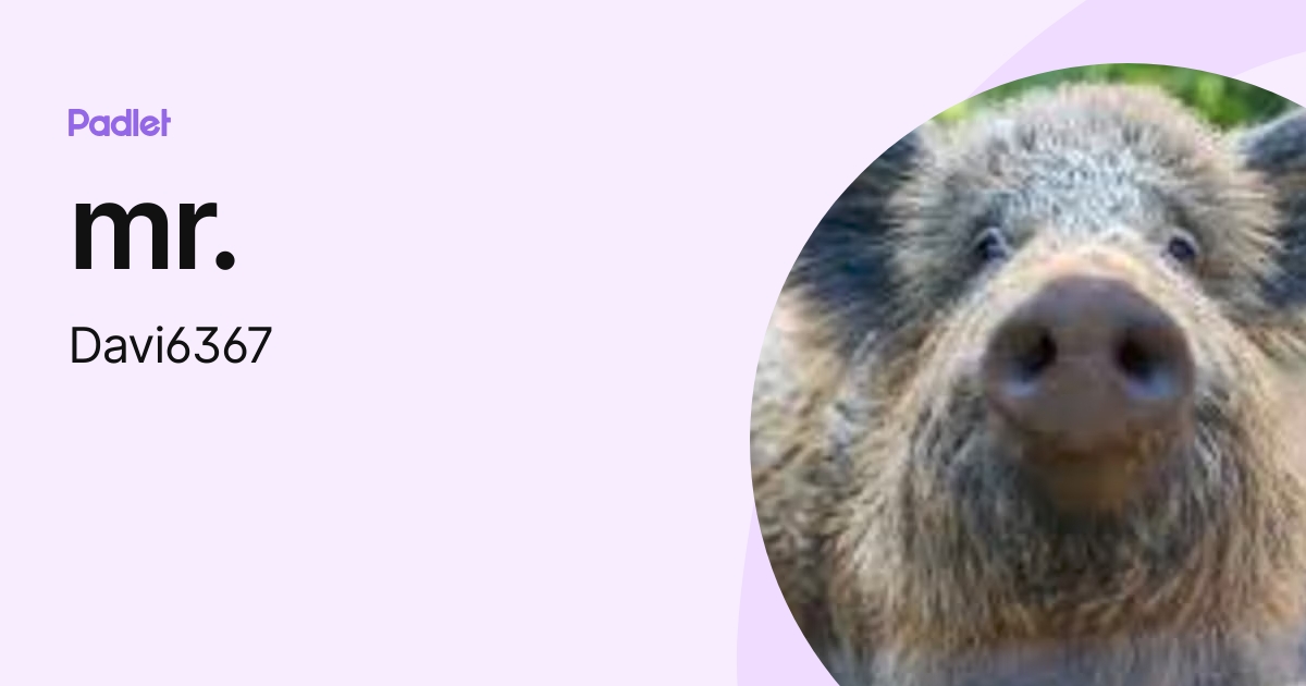 mr. (Davi6367) profile | Padlet