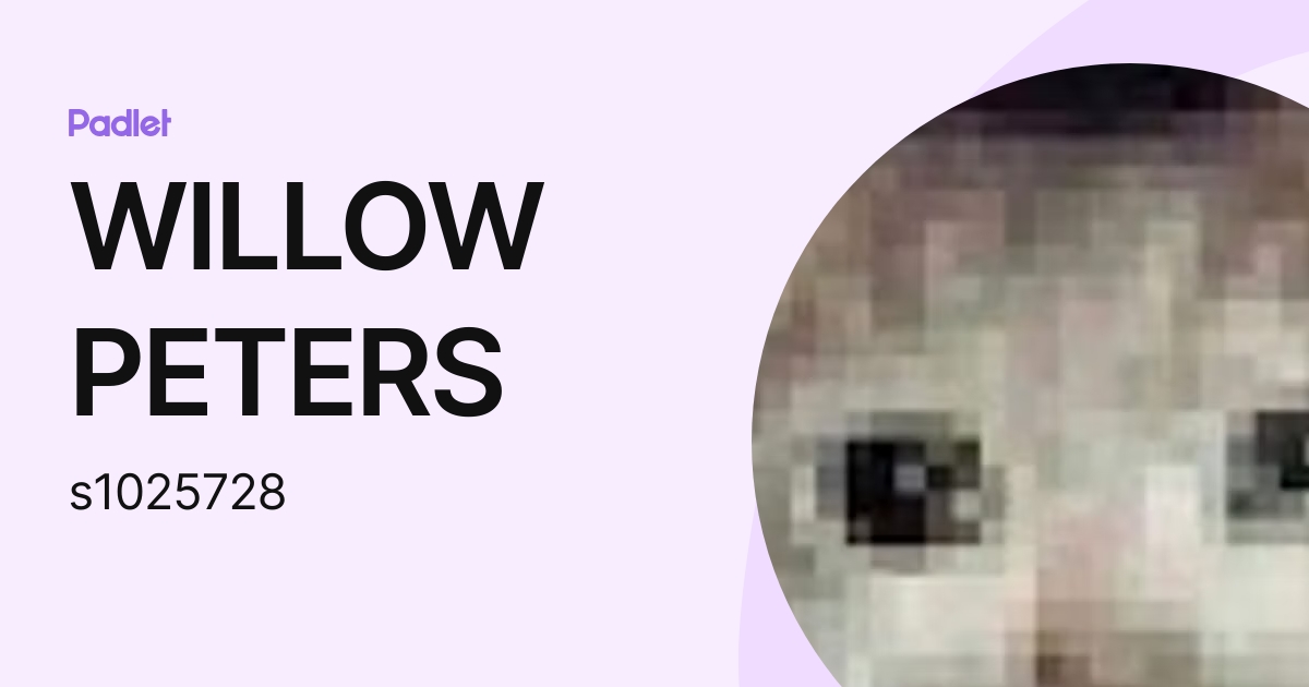 WILLOW PETERS (s1025728) profile | Padlet