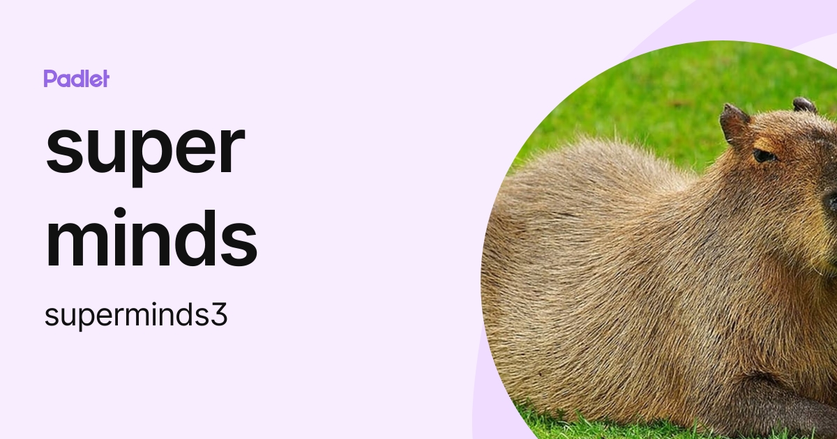 super minds (superminds3) profile | Padlet