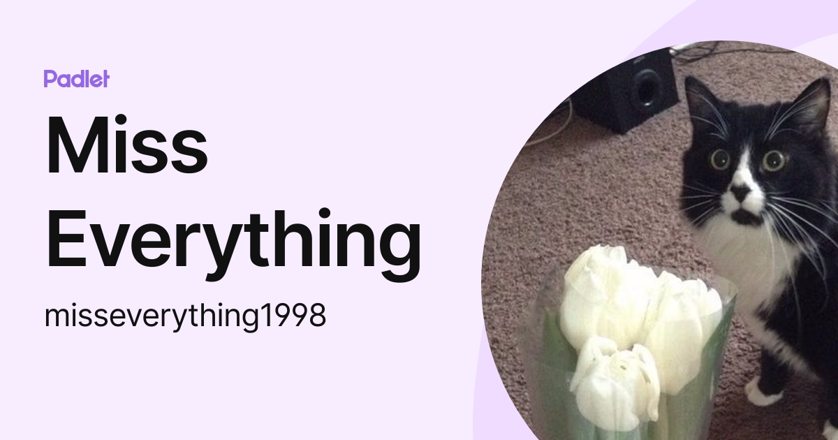 Miss Everything (misseverything1998) profile | Padlet
