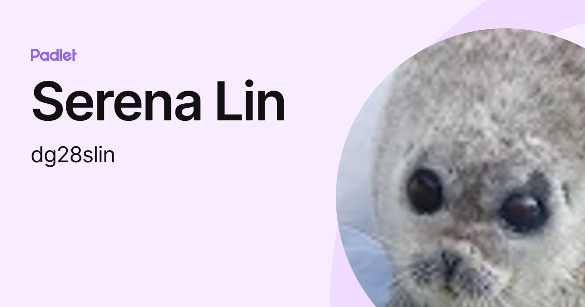 Serena Lin (dg28slin) profile | Padlet
