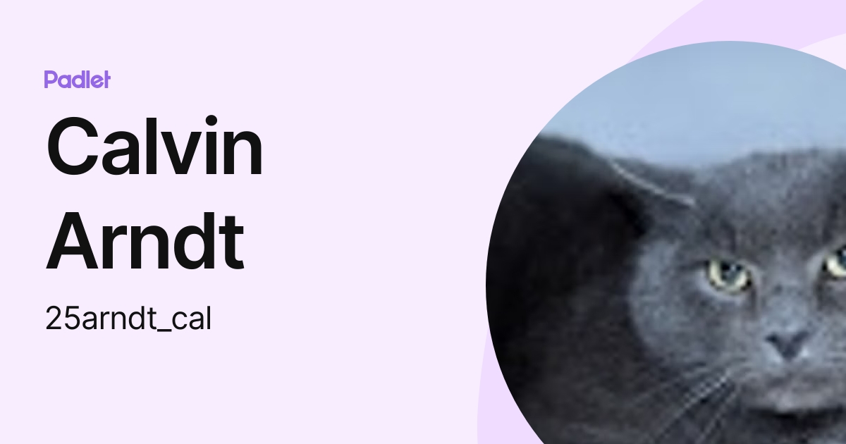 Calvin Arndt (25arndt_cal) profile | Padlet