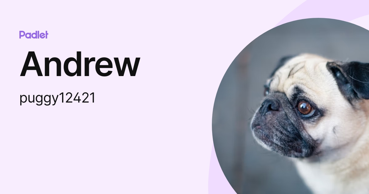 Andrew (puggy12421) profile | Padlet