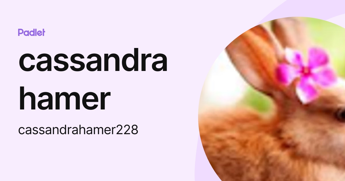 cassandra hamer (cassandrahamer228) profile | Padlet