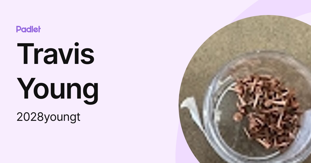 Travis Young (2028youngt) profile | Padlet