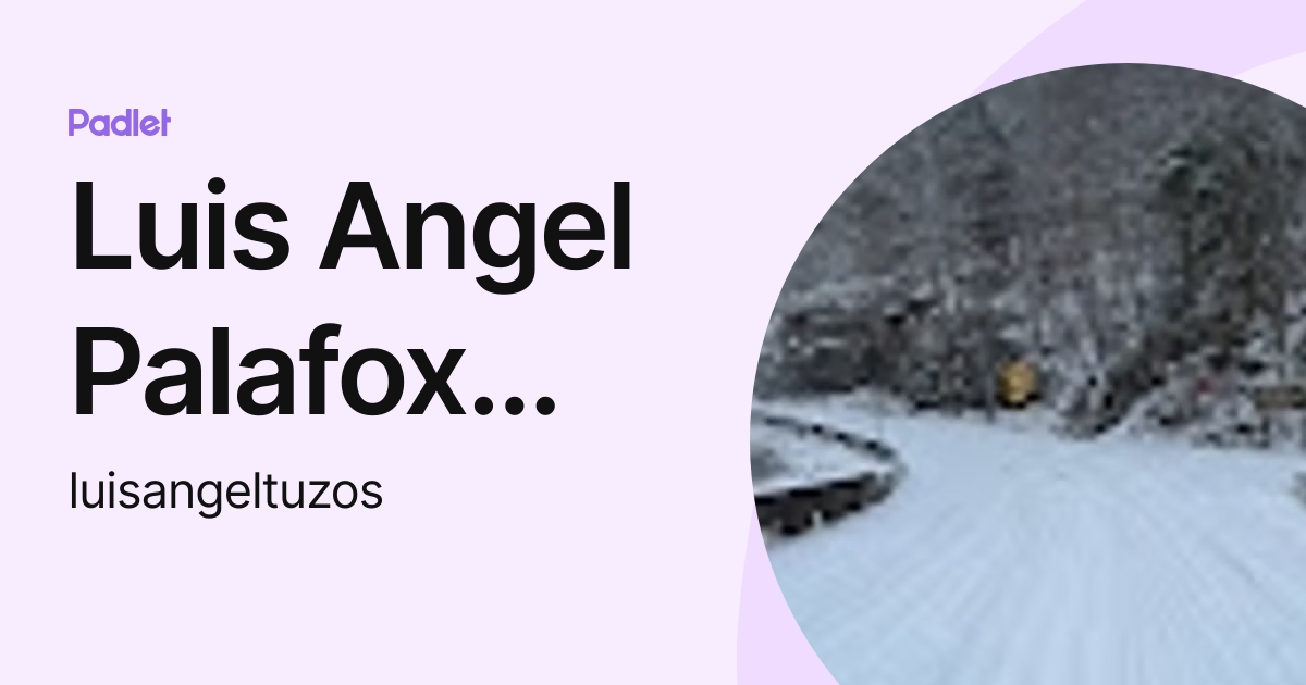 Luis Angel Palafox Valencia (luisangeltuzos) profile | Padlet