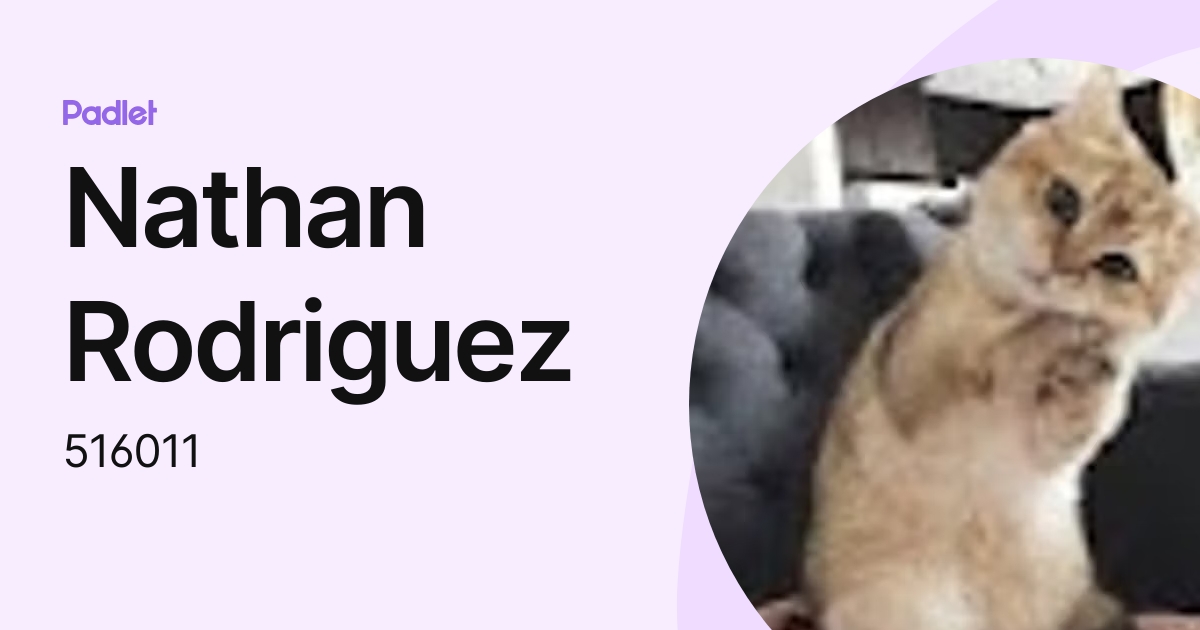 Nathan Rodriguez (516011) profile | Padlet