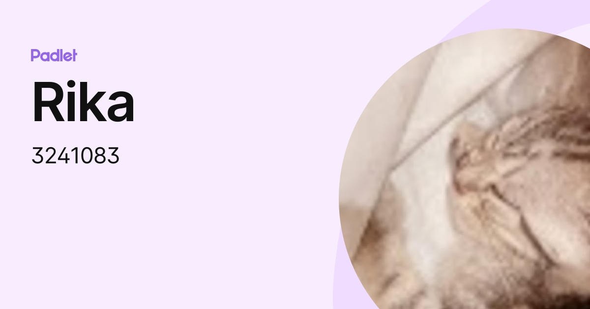 Rika (3241083) profile | Padlet