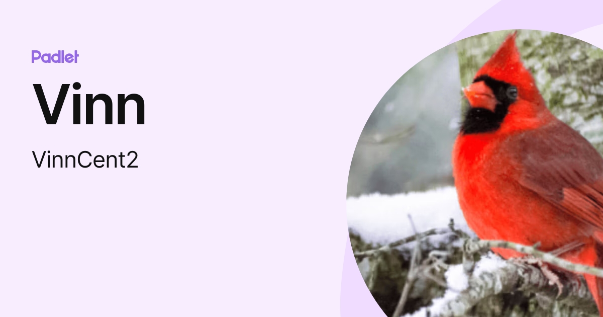 Vinn (VinnCent2) profile | Padlet