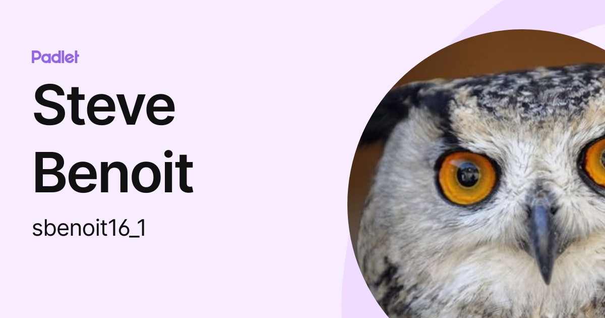 Steve Benoit (sbenoit) profile | Padlet