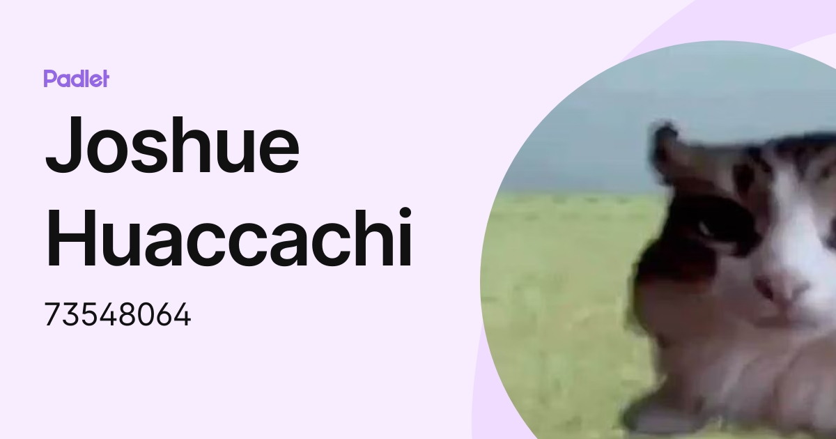 Joshue Huaccachi (73548064) profile | Padlet