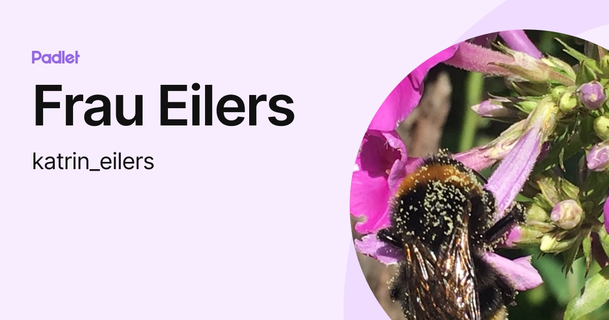 Frau Eilers (katrin_eilers) profile | Padlet