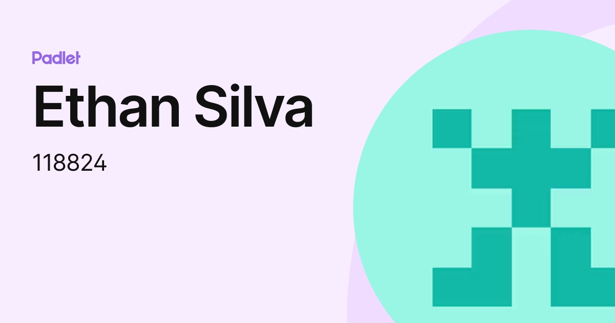 Ethan Silva (118824) profile | Padlet