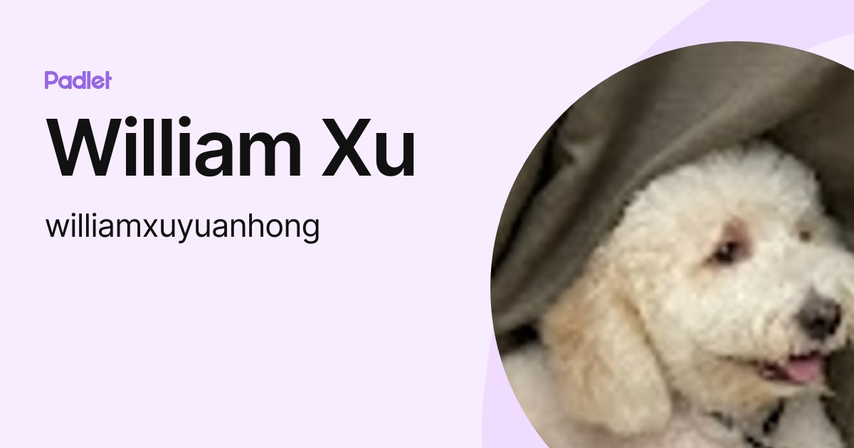 William Xu (williamxuyuanhong) profile | Padlet