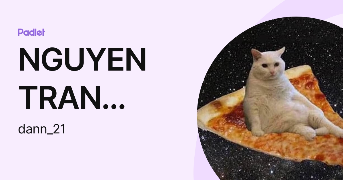 NGUYEN TRAN QUYNH DAN (dann_21) profile | Padlet